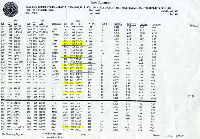 SIL Sire Summary 1999